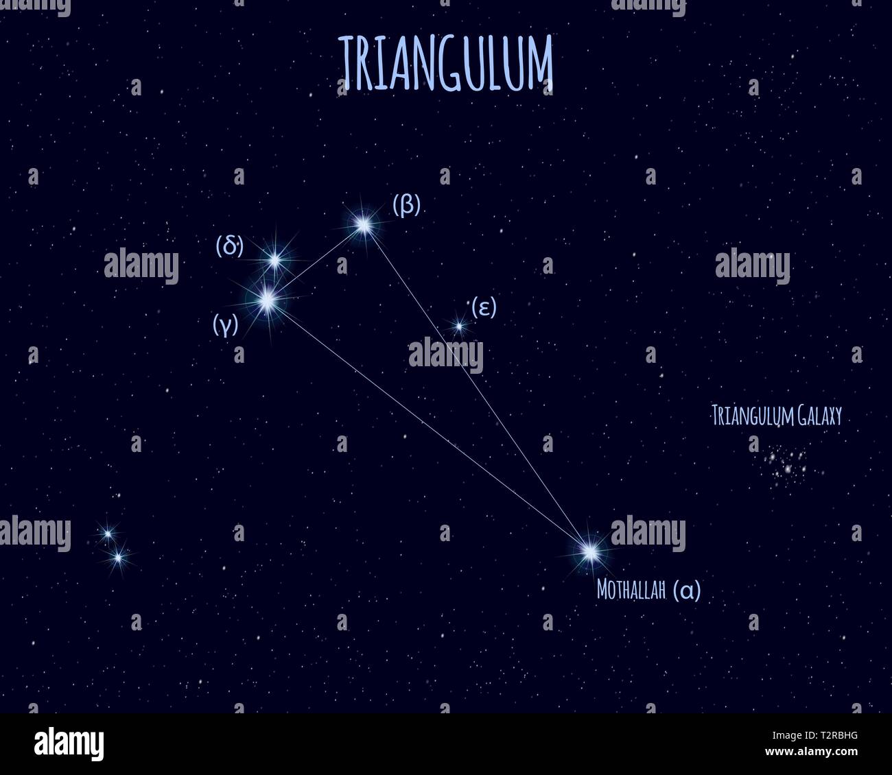 Triangulum (The Triangle) constellation, vector illustration with the names of basic stars ...