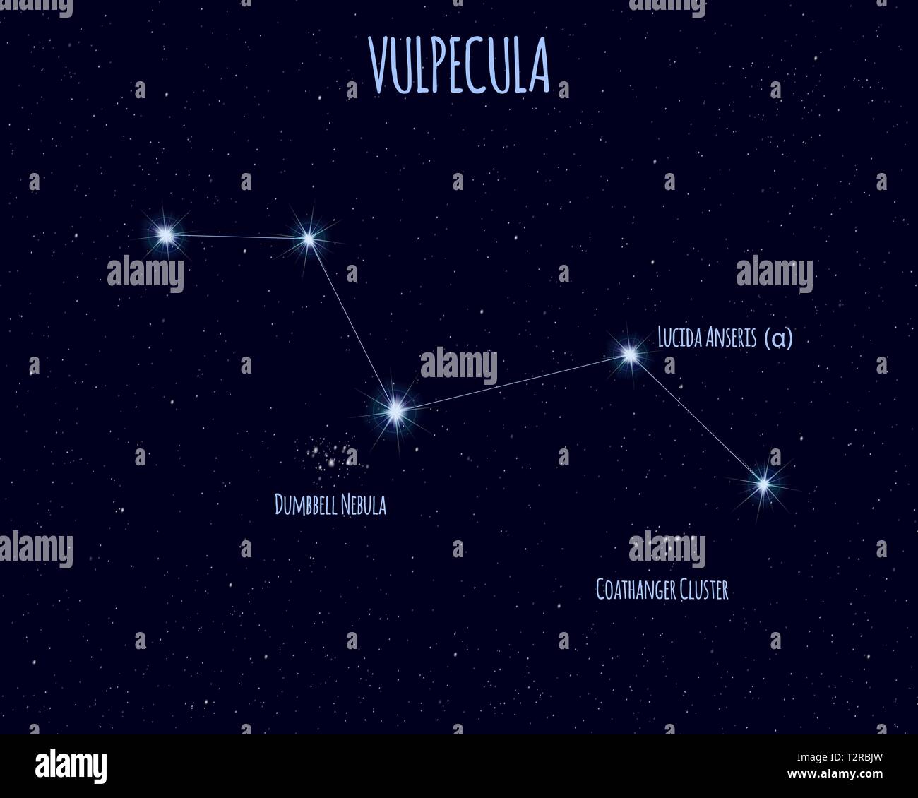 Vulpecula