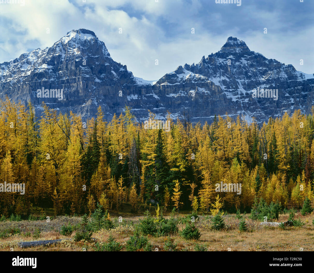 Deltaform hi-res stock photography and images - Alamy