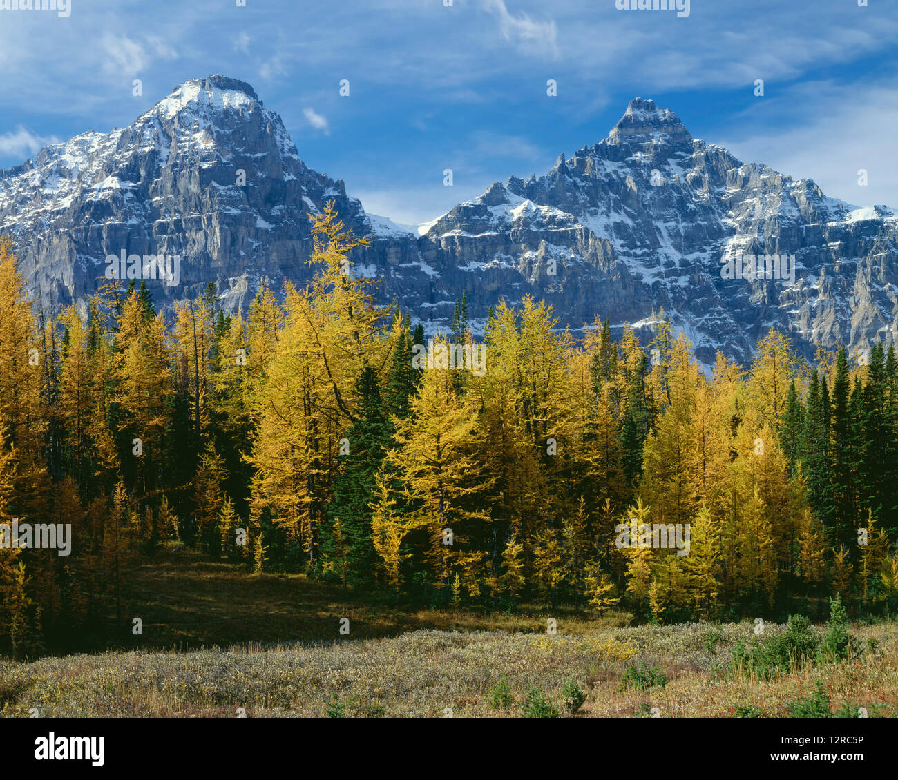 Canada, Alberta, Banff National Park, Deltaform Mountain (left) and ...