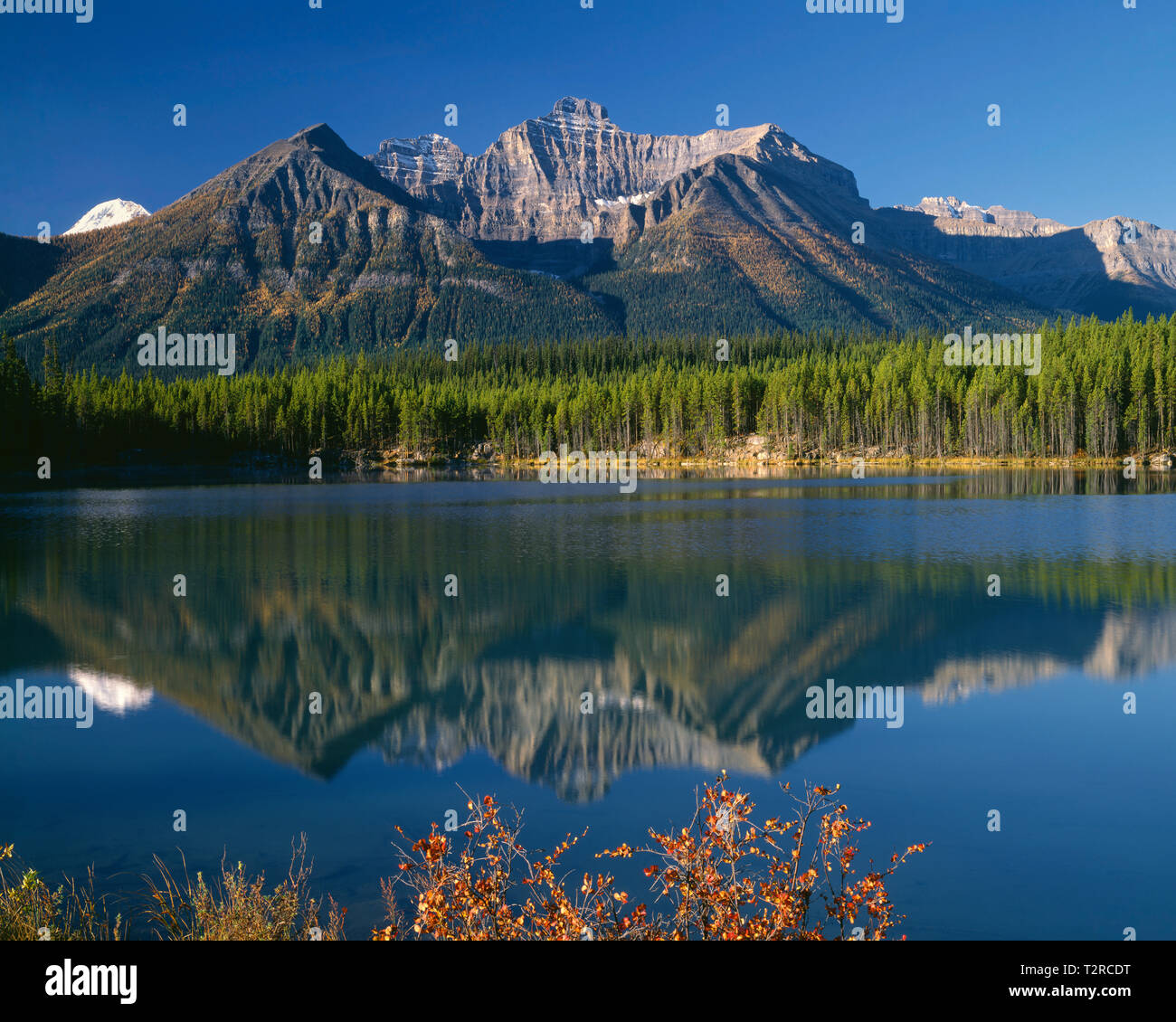 Canada, Alberta, Banff National Park, Peaks of the Bow Range reflect in ...