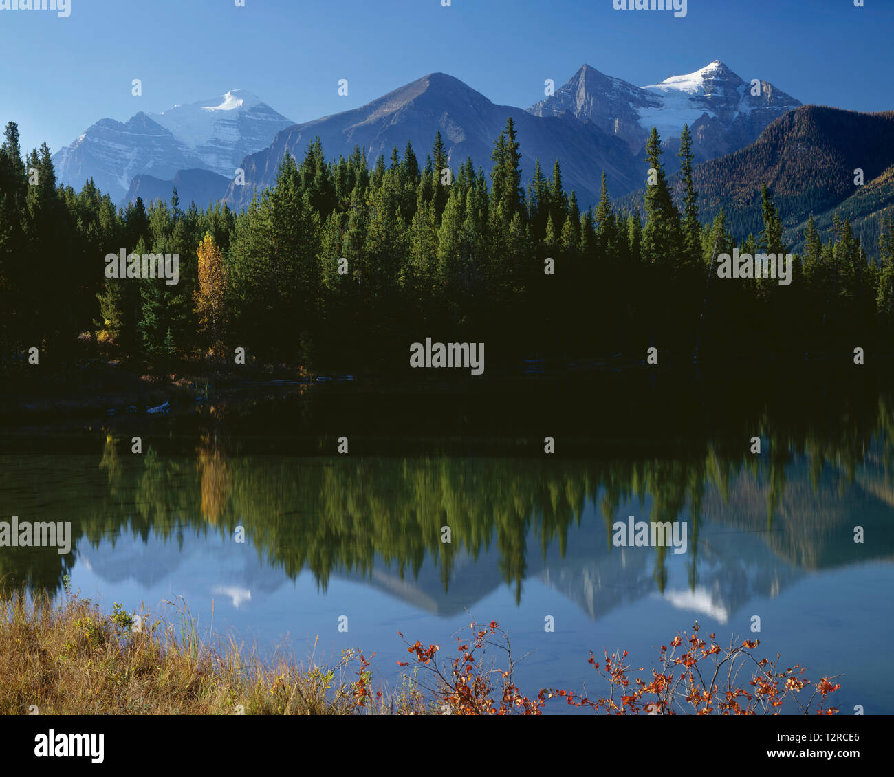 Mt fairview hi-res stock photography and images - Alamy
