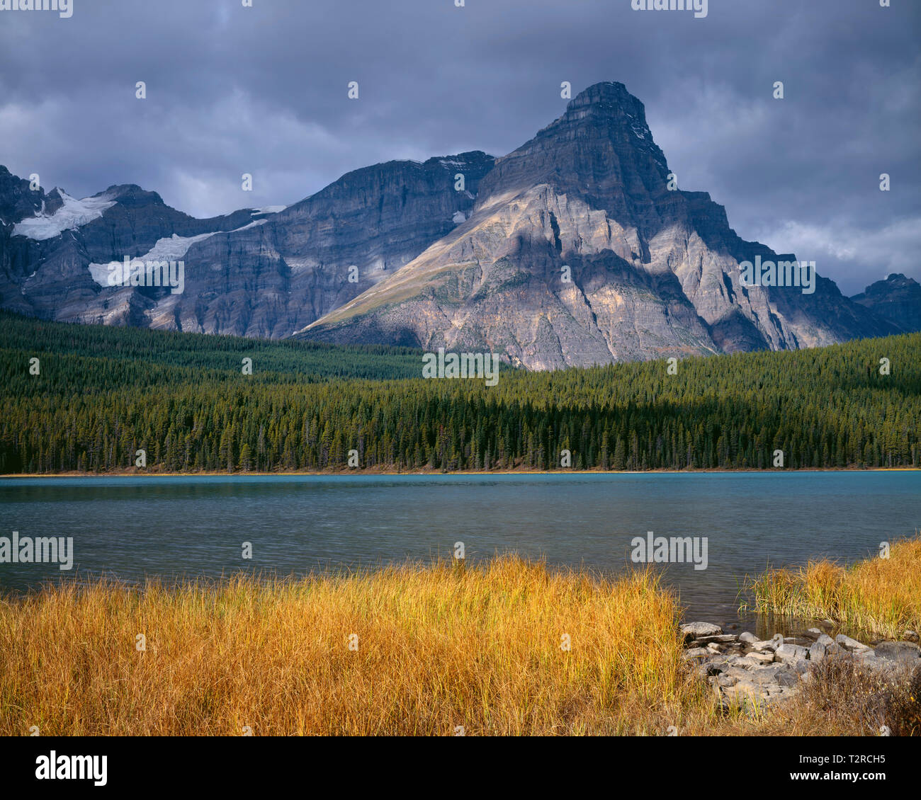 Canada, Alberta, Banff National Park, Upper Waterfowl Lake and Mt ...