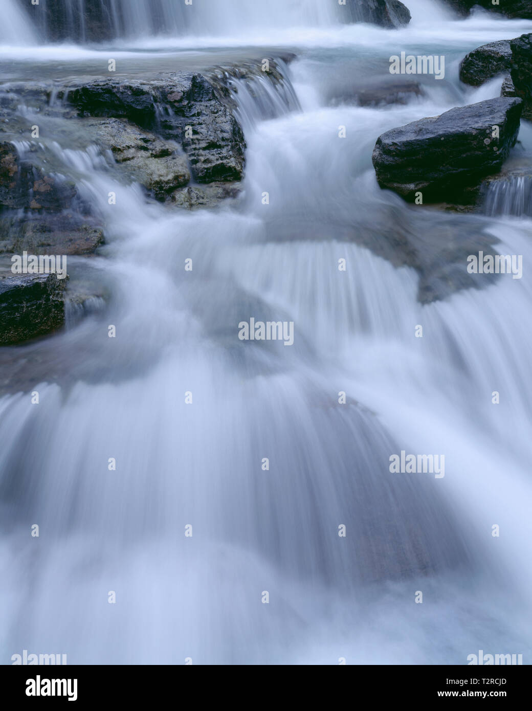 Canada, Alberta, Banff National Park, Nigel Creek plunges down ...