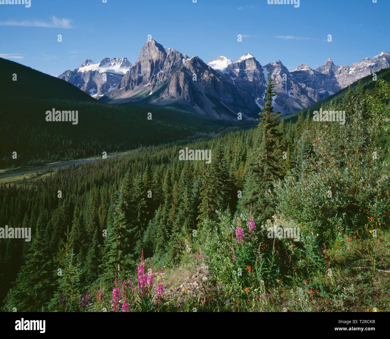 Canada, Alberta, Banff National Park, View from Moraine Lake Road ...