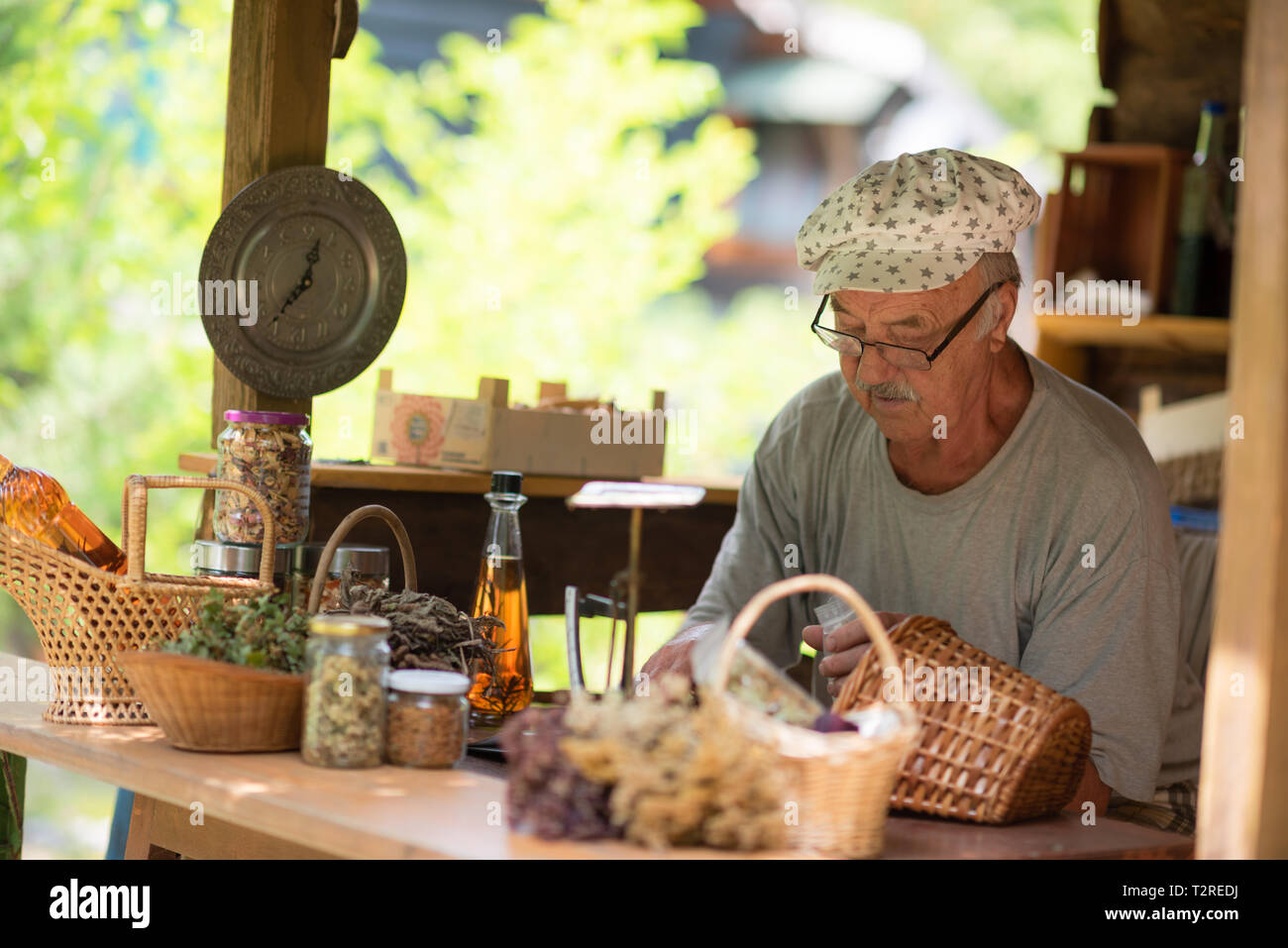 senior man gardener herbalist picking gathering fresh herbs for ...