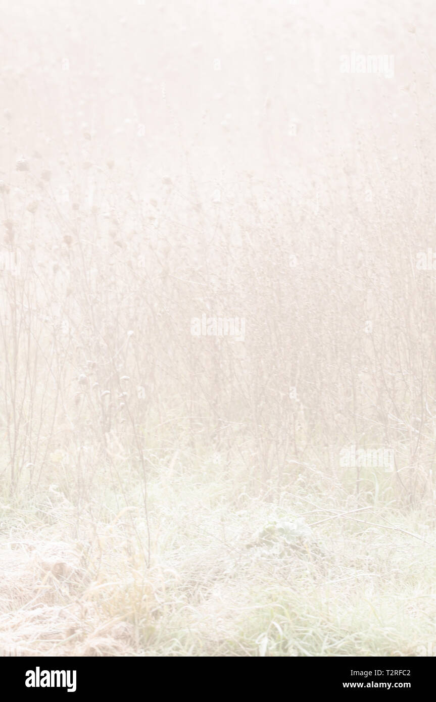 Frozen drama hi-res stock photography and images - Alamy