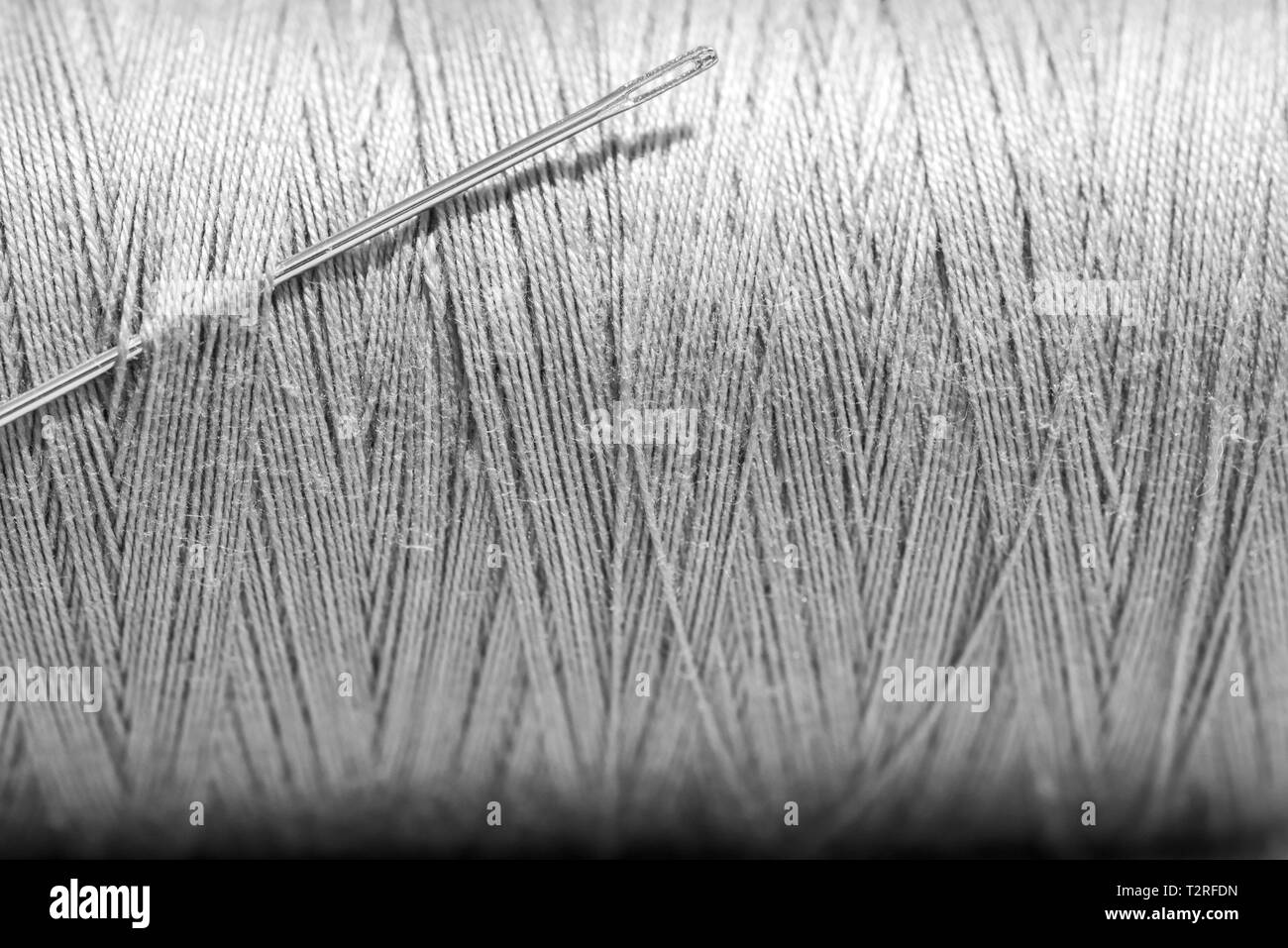 Needle texture hi-res stock photography and images - Alamy