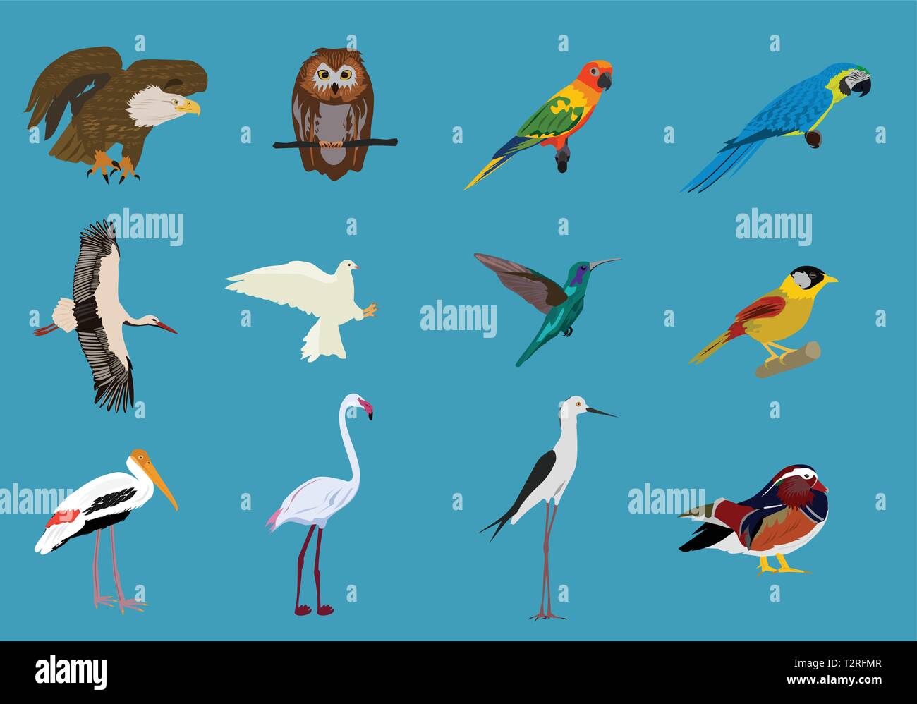 Various sets of birds Blue background,animals vector Stock Vector Image ...