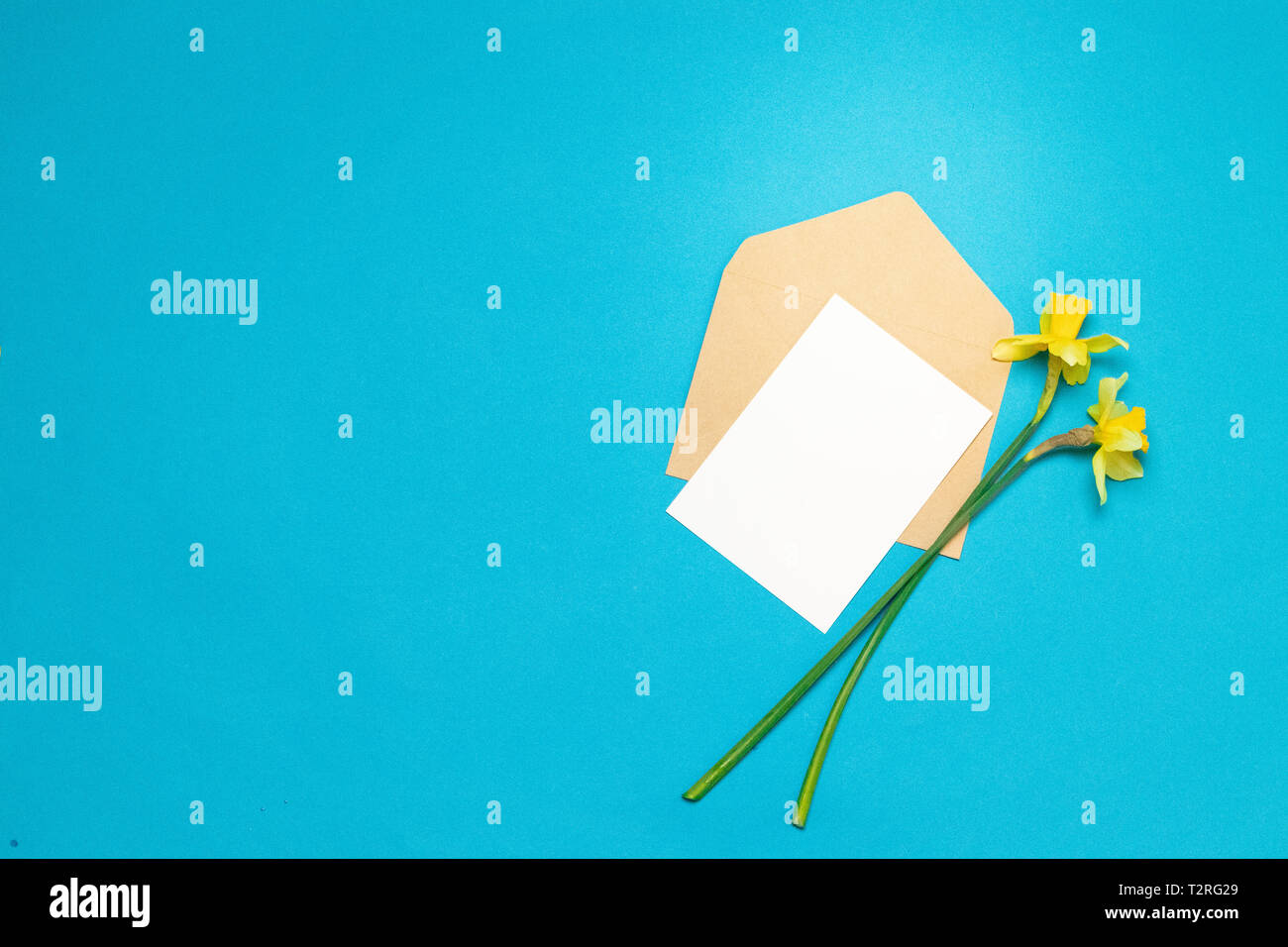 Beautiful bouquet of daffodil flowers with an envelope, greeting card ...