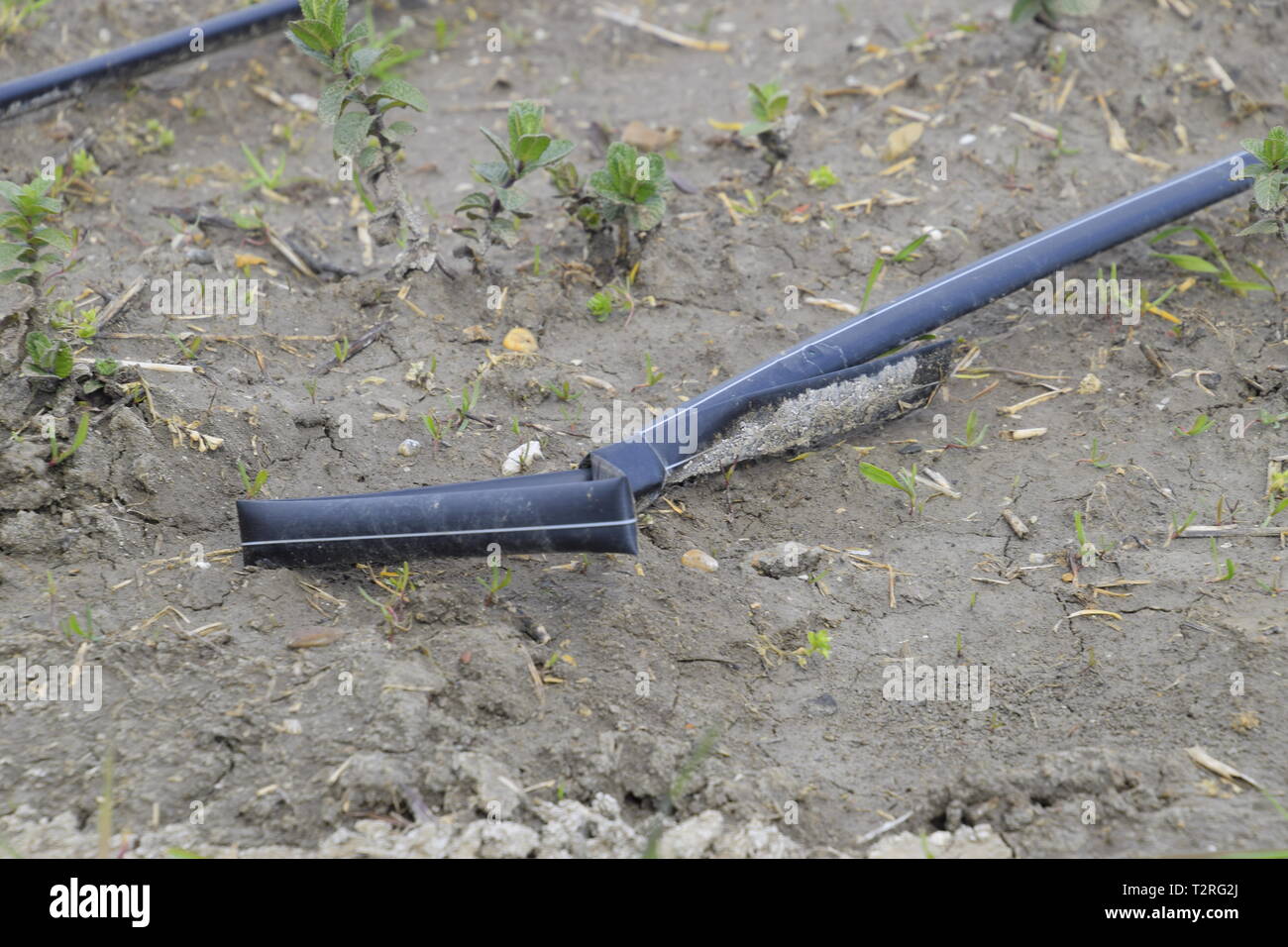 Drip irrigation hoses farm hi-res stock photography and images - Alamy