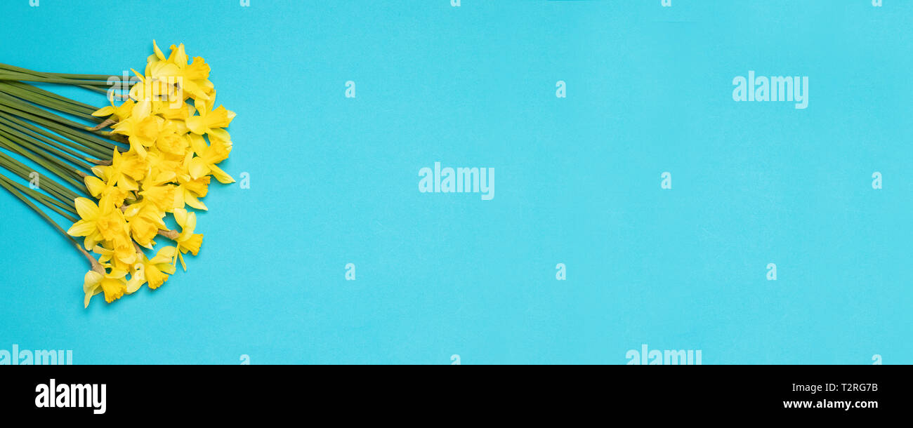 Fresh bouquet of daffodil flowers spring background for congratulations ...