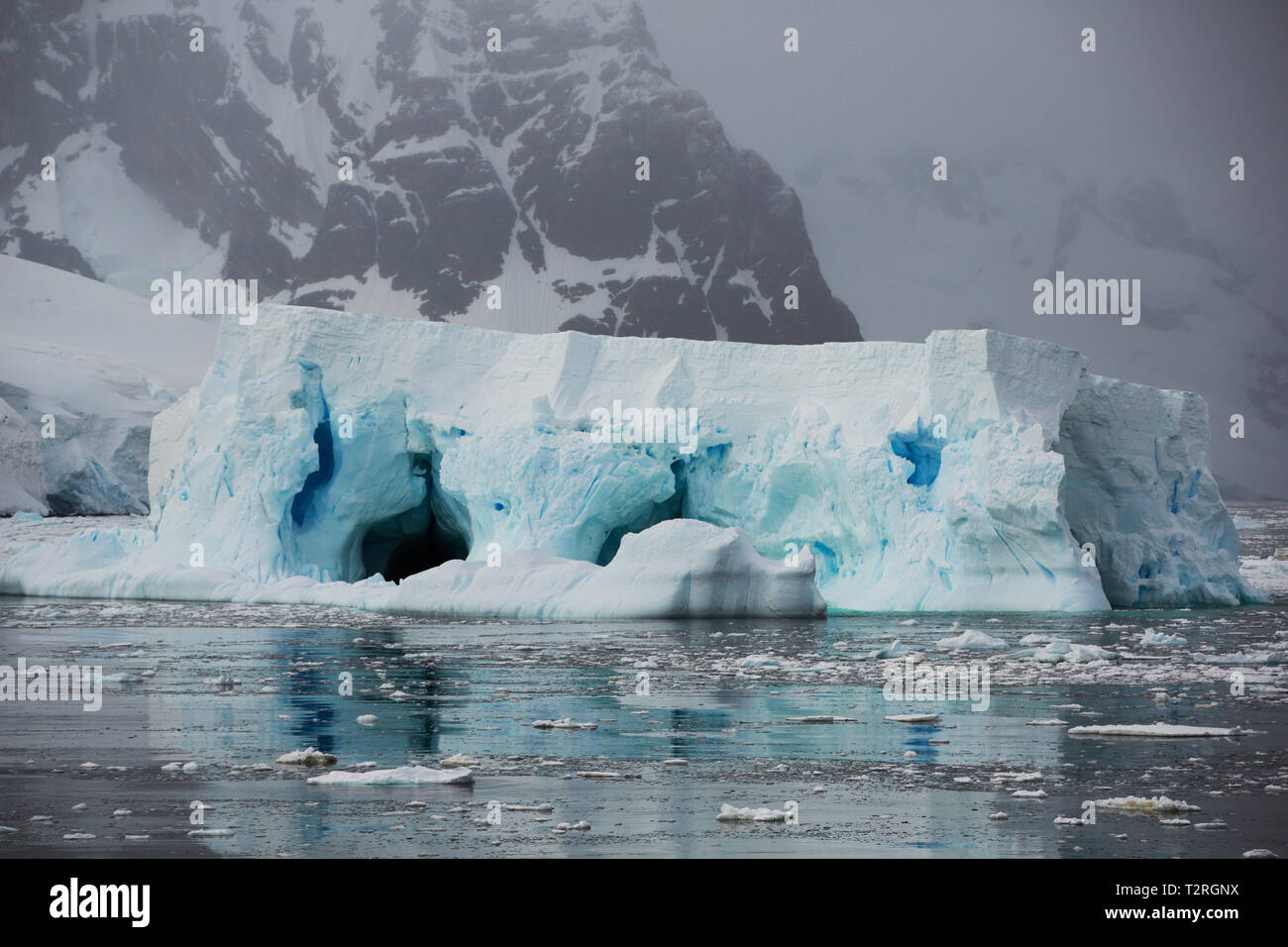Steep cliff in antarctica hi-res stock photography and images - Alamy