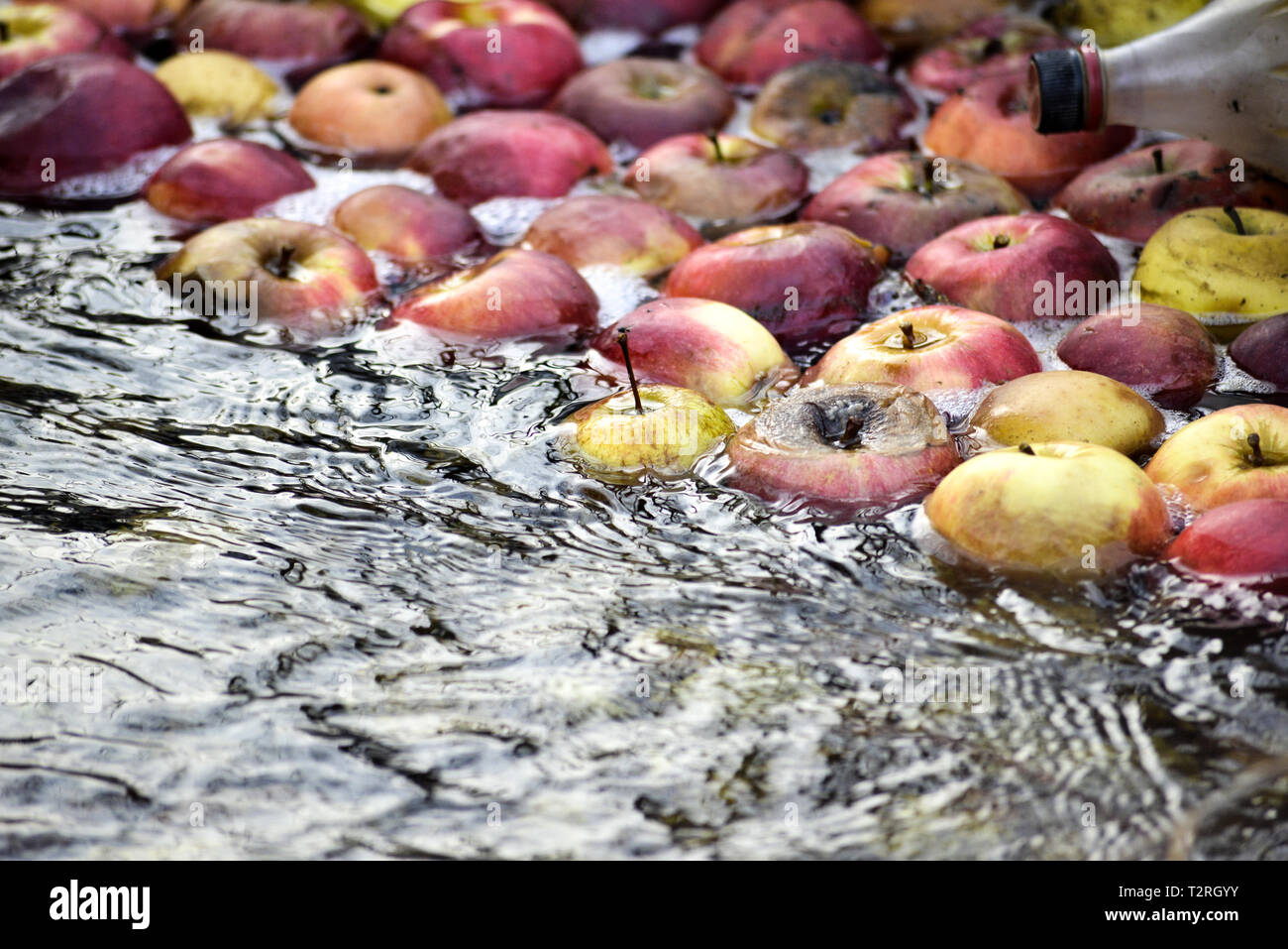 Rotten creek hi-res stock photography and images - Alamy