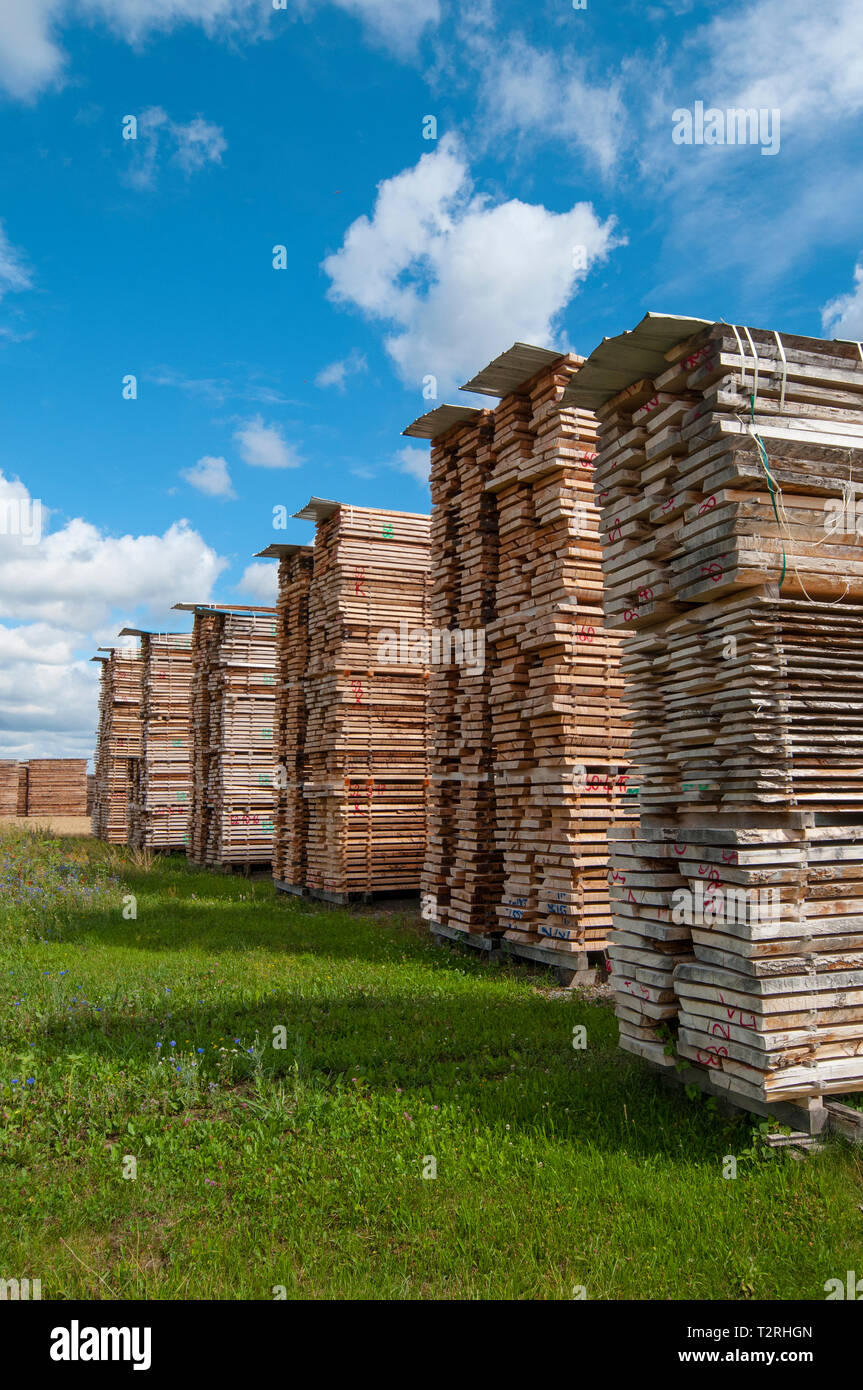 Lumber yard, with stack of wooden boards Stock Photo - Alamy