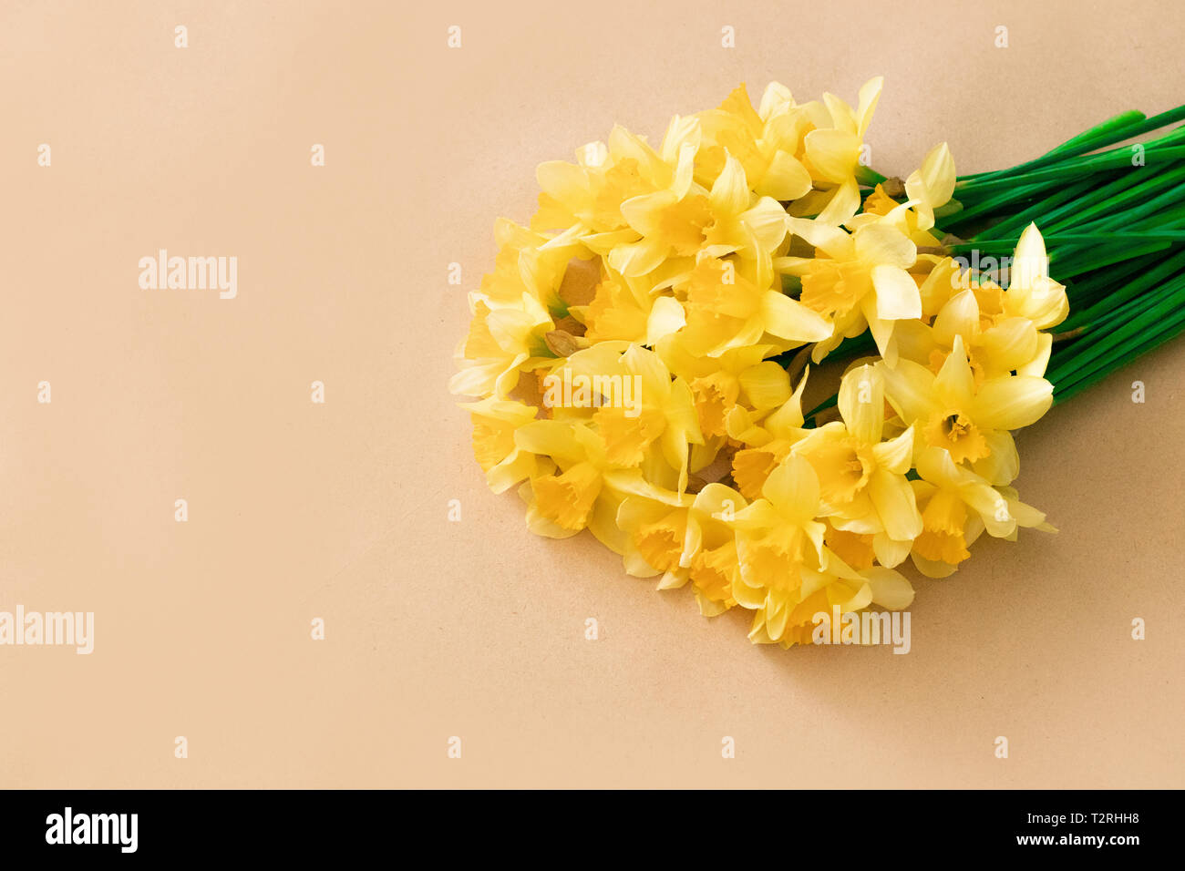Spring floral background with yellow daffodil flowers Stock Photo - Alamy
