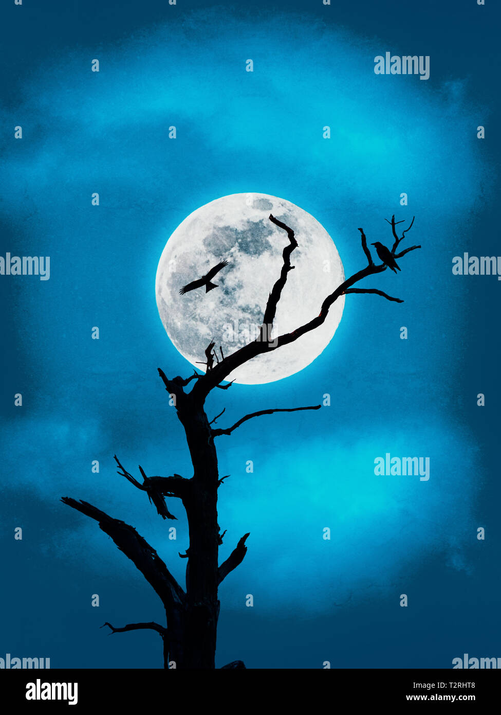 Creepy tree hi-res stock photography and images - Alamy