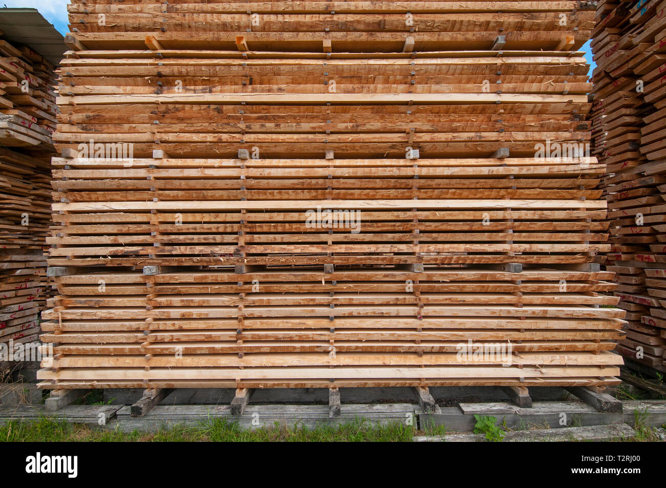 Lumber yard, with stack of wooden boards Stock Photo - Alamy