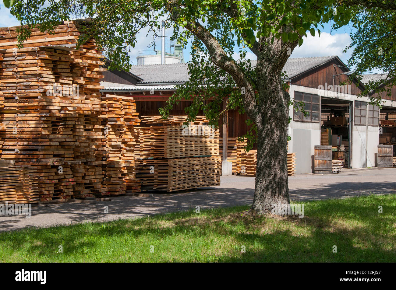 Lumber mill with stack of boards Stock Photo - Alamy