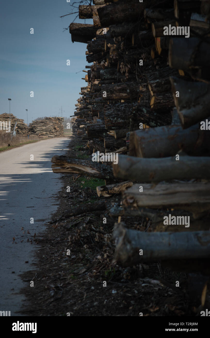 Wood pile, big stack outdoor with clear sky Stock Photo - Alamy