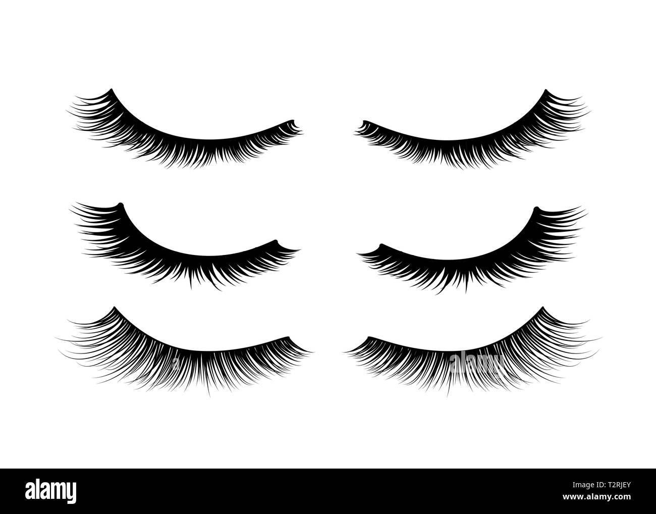 Very detailed eyelashes Stock Vector Images - Alamy