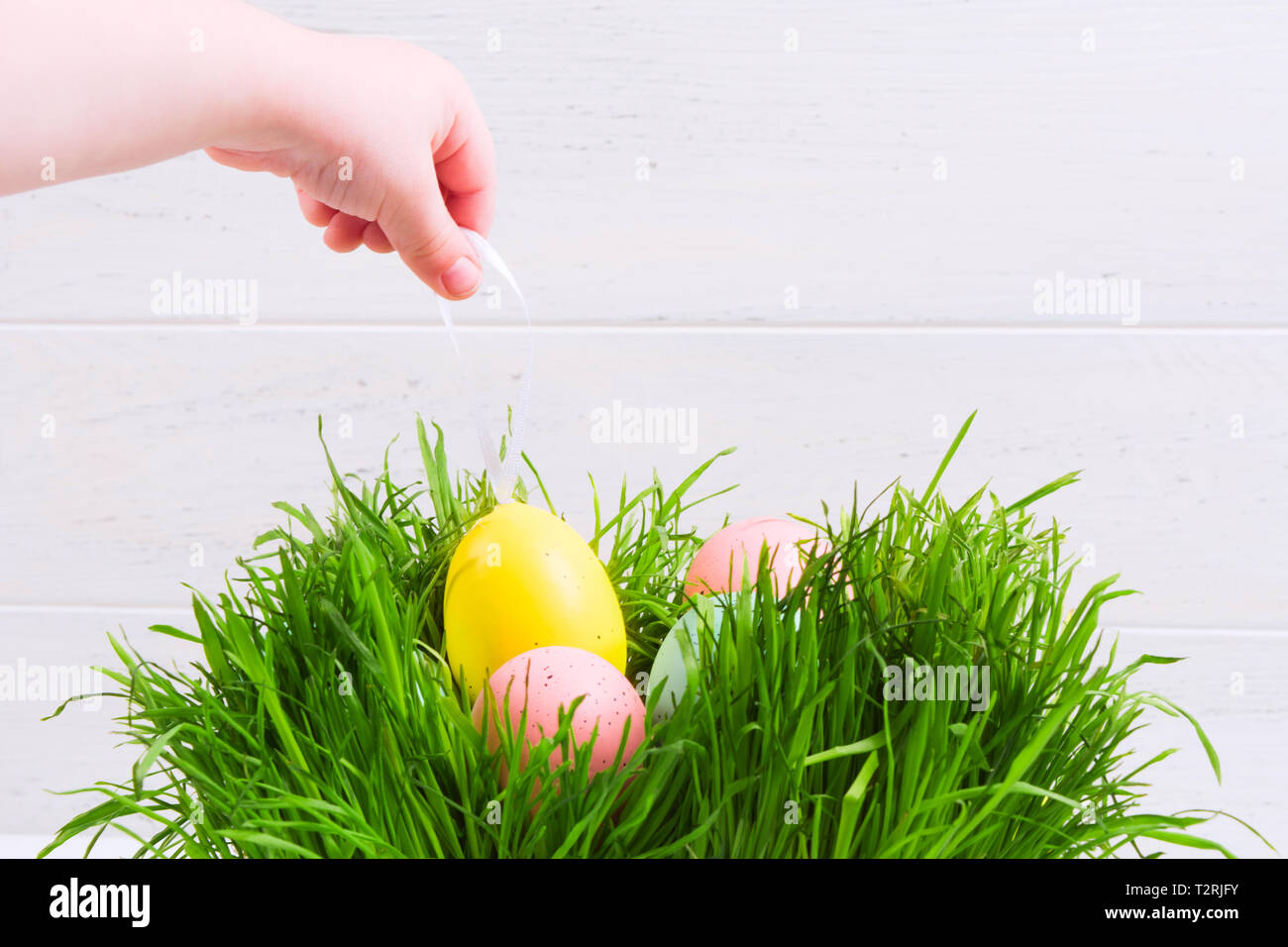 Hand take egg hi-res stock photography and images - Alamy