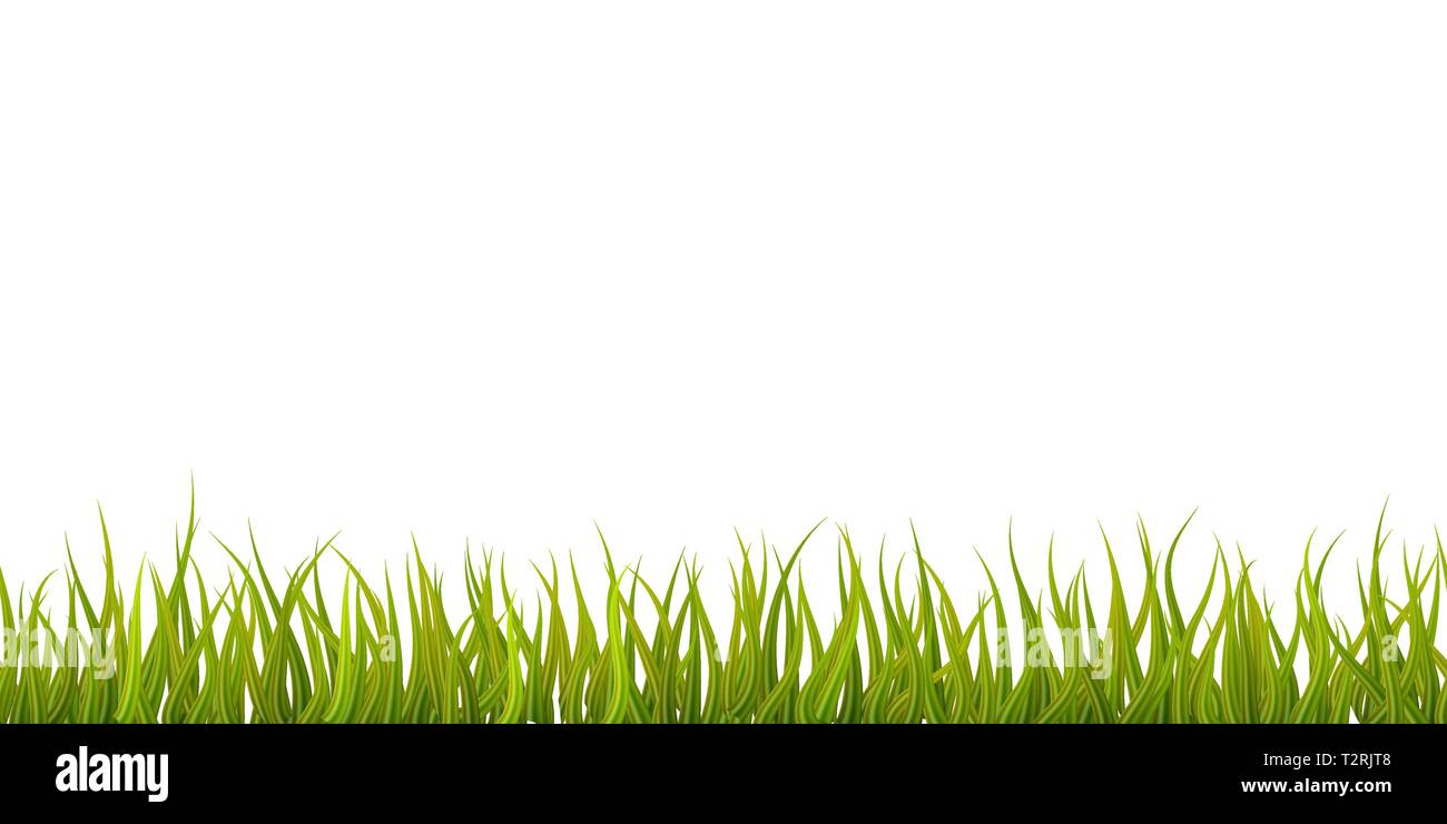 Detailed vegetation Stock Vector Images - Alamy