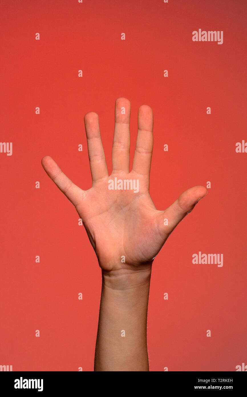 The human hand shows five fingers, which symbolizes affection. Isolated ...