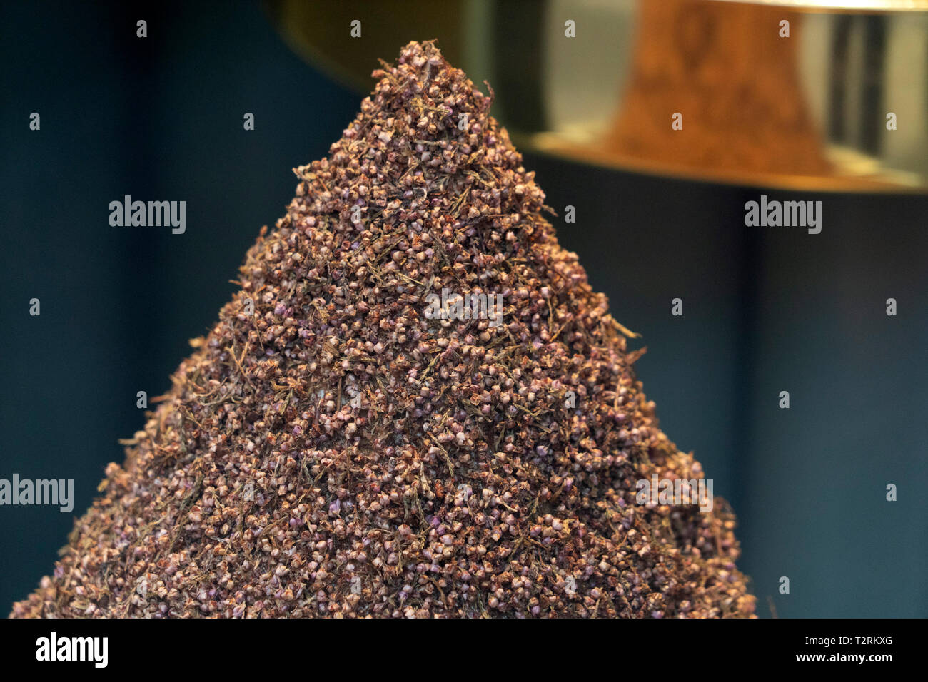 Ling heather drawing hi-res stock photography and images - Alamy