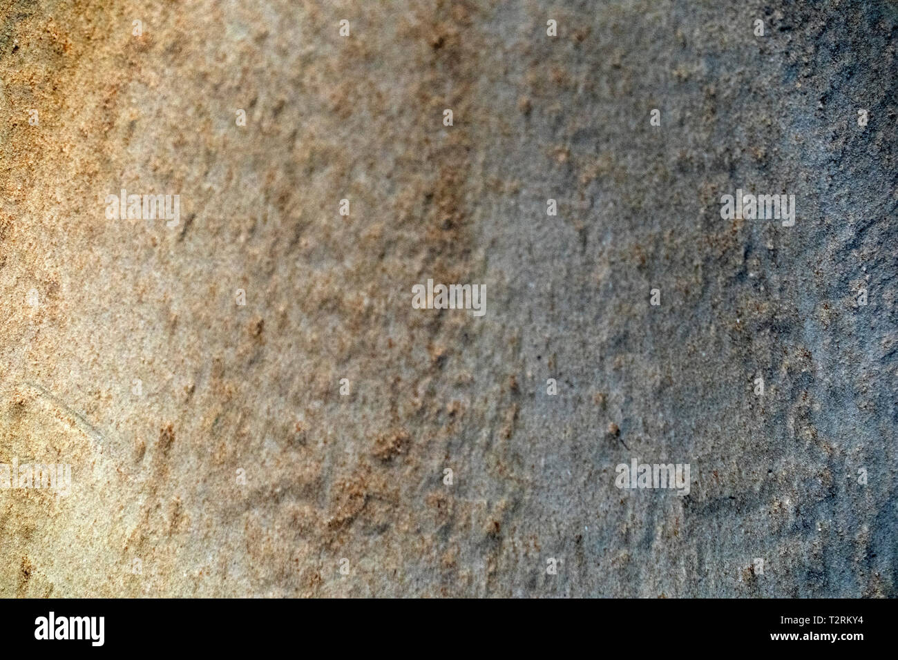 Ginger roots powder detail hi-res stock photography and images - Alamy