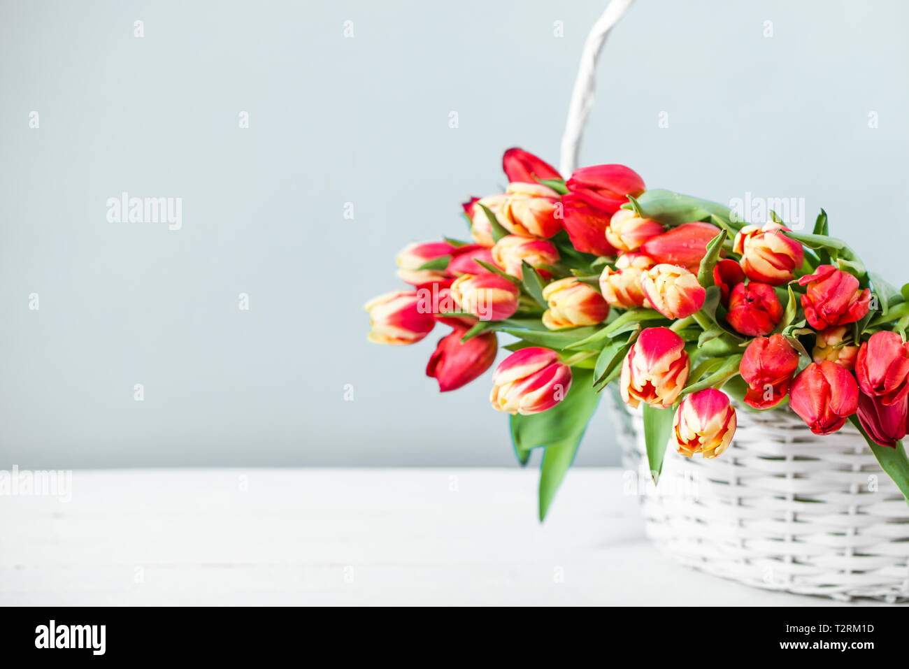 Bouquet tulip flowers in background hi-res stock photography and images ...