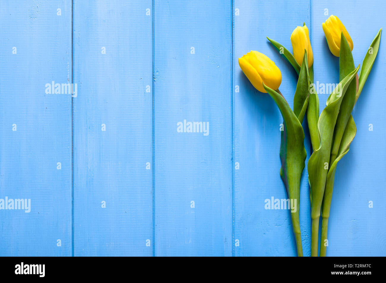 Spring easter background with tulip on wooden table Stock Photo - Alamy
