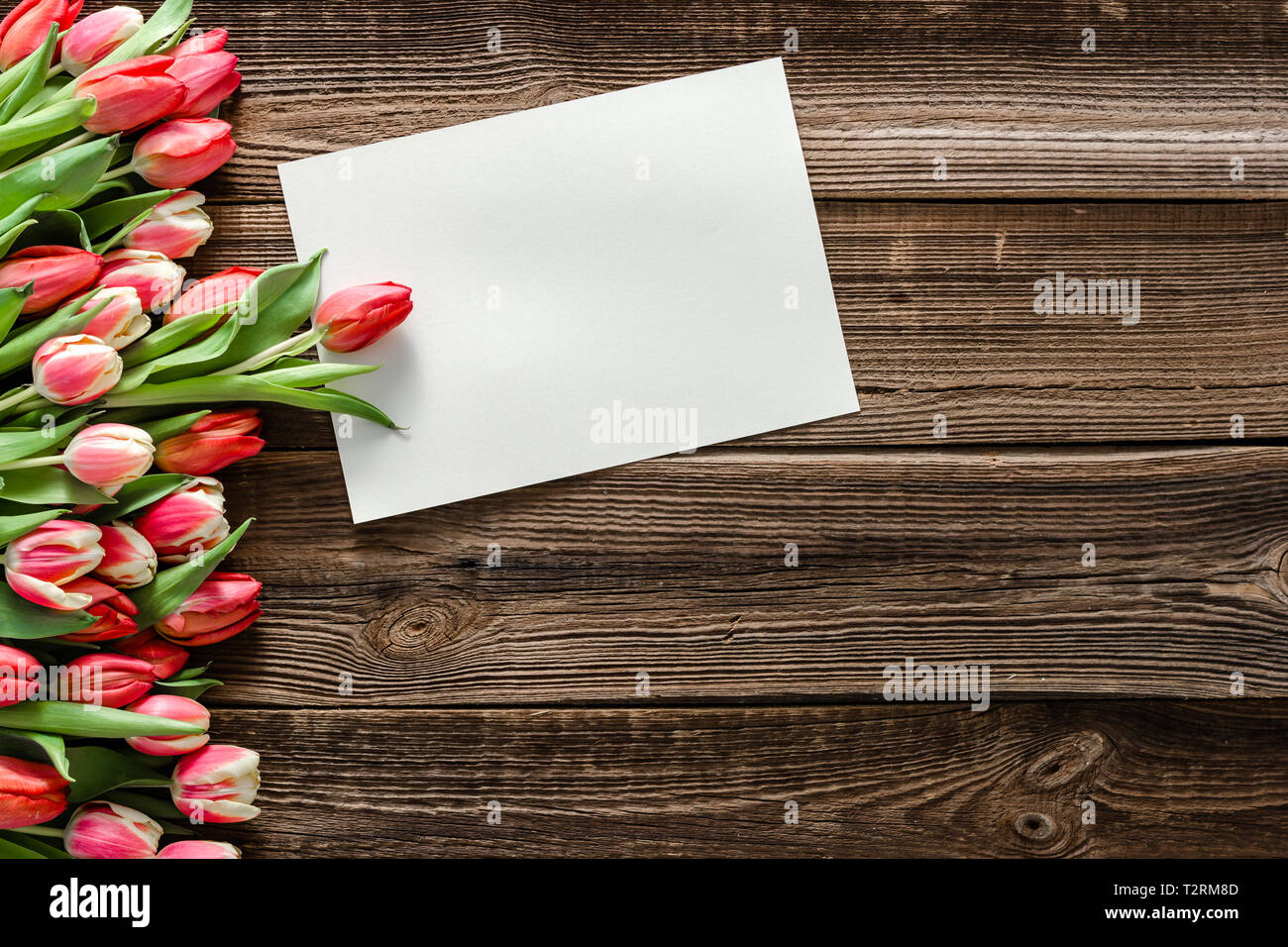 Colorful spring tulip and greeting card. Women's day background with ...