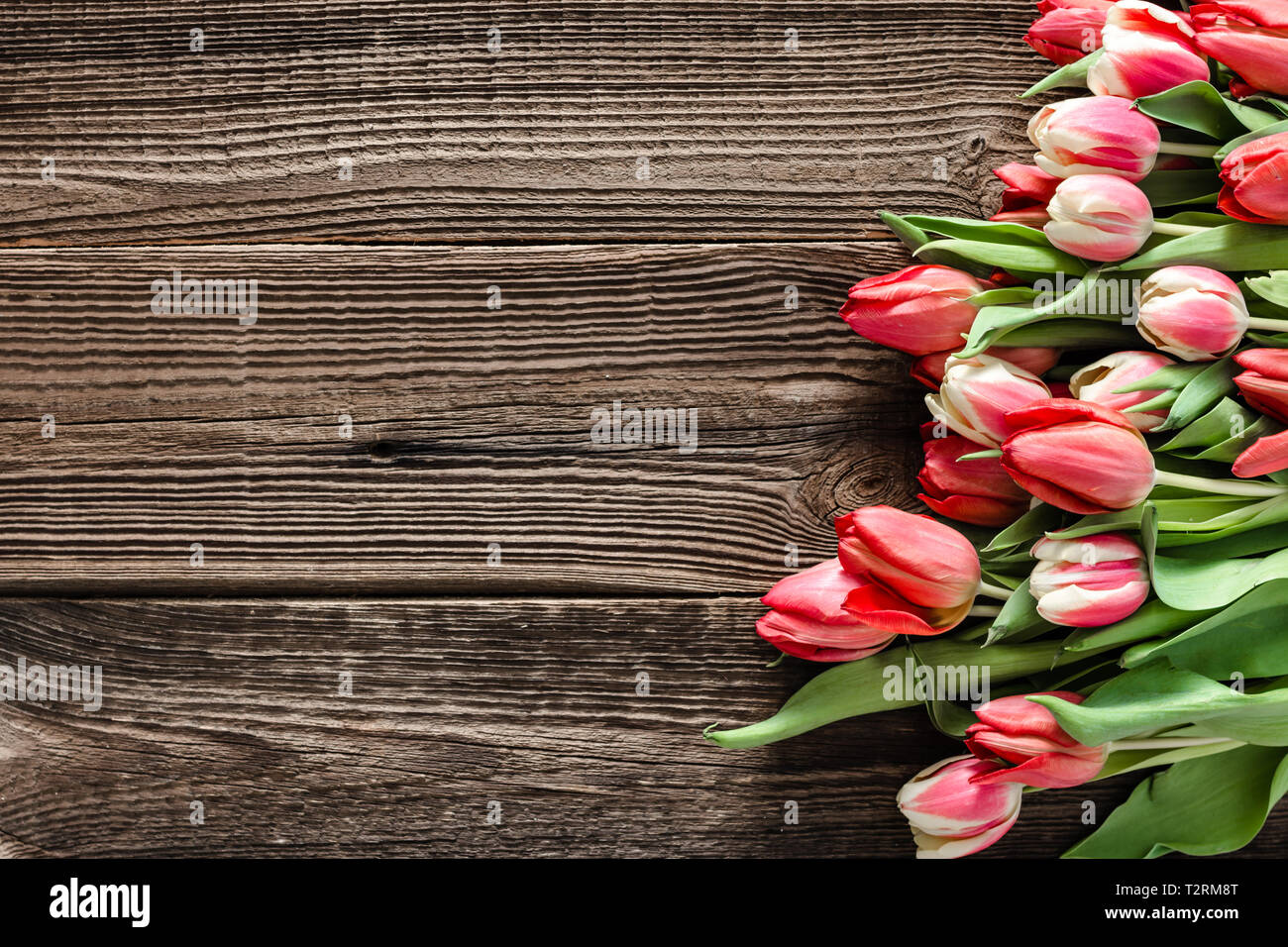 Anniversary card with tulips on wood, flowers on wooden background ...