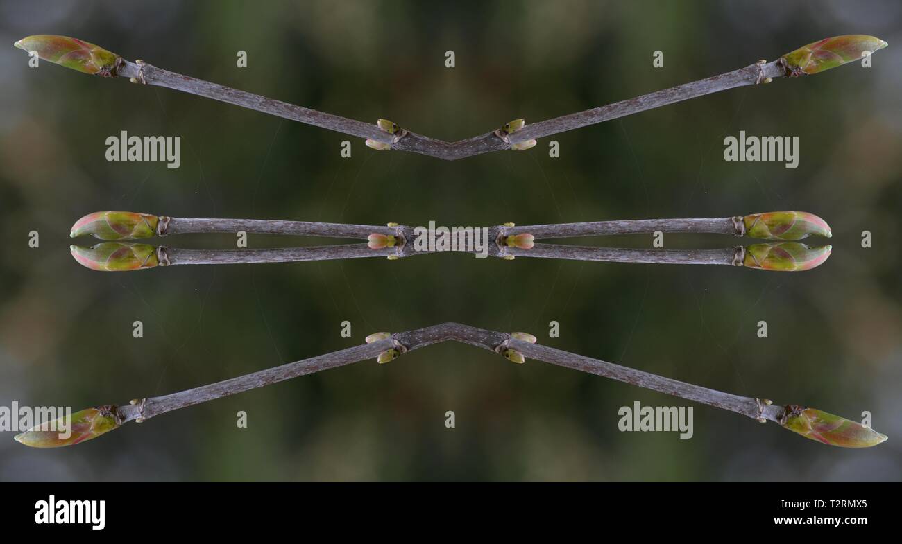 Colorful seamless spring plants pattern for design, background, ceramic ...