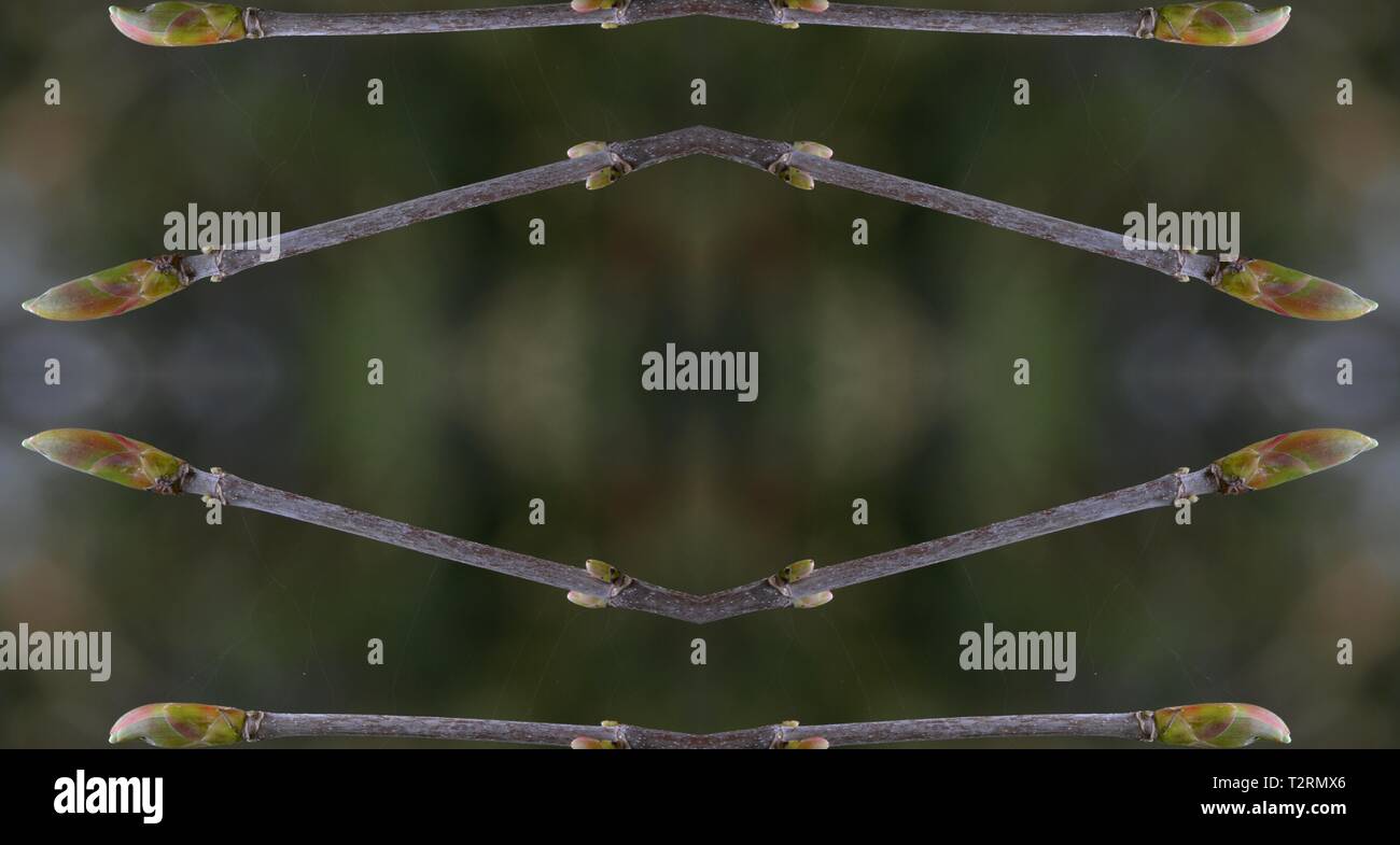 Colorful seamless spring plants pattern for design, background, ceramic ...