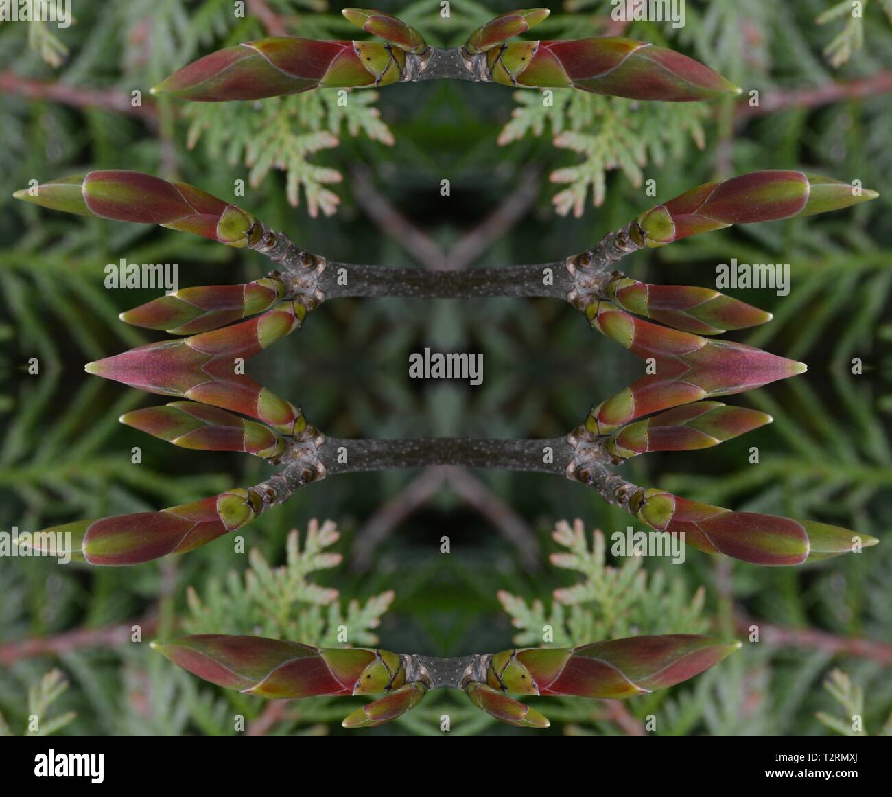 Colorful seamless spring plants pattern for design, background, ceramic ...