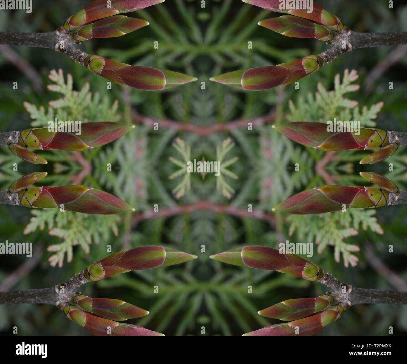 Colorful seamless spring plants pattern for design, background, ceramic ...