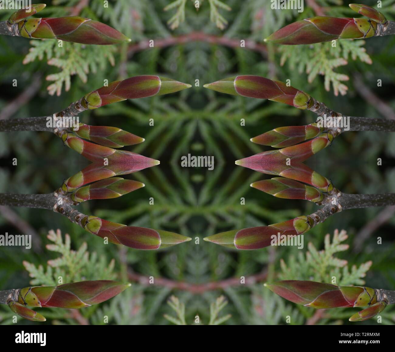 Colorful seamless spring plants pattern for design, background, ceramic ...