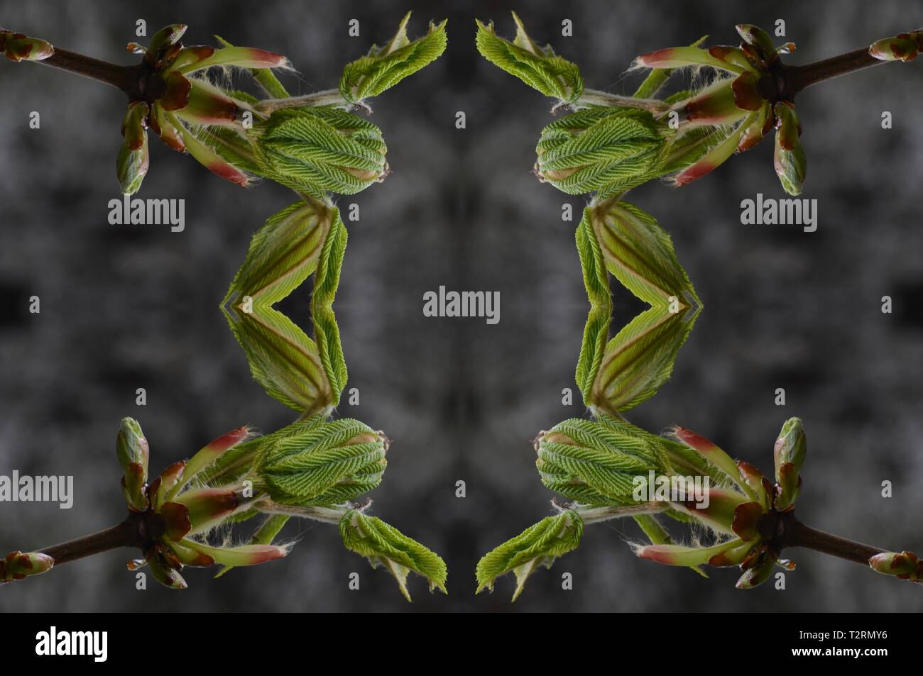 Colorful seamless spring plants pattern for design, background, ceramic ...