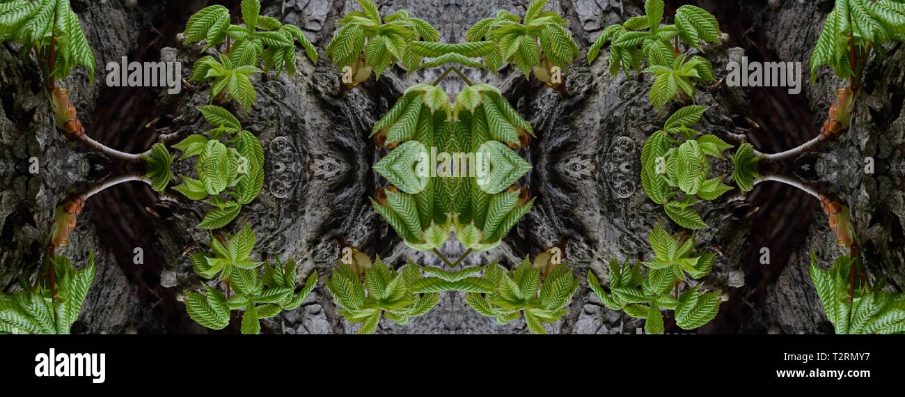 Colorful seamless spring plants pattern for design, background, ceramic ...