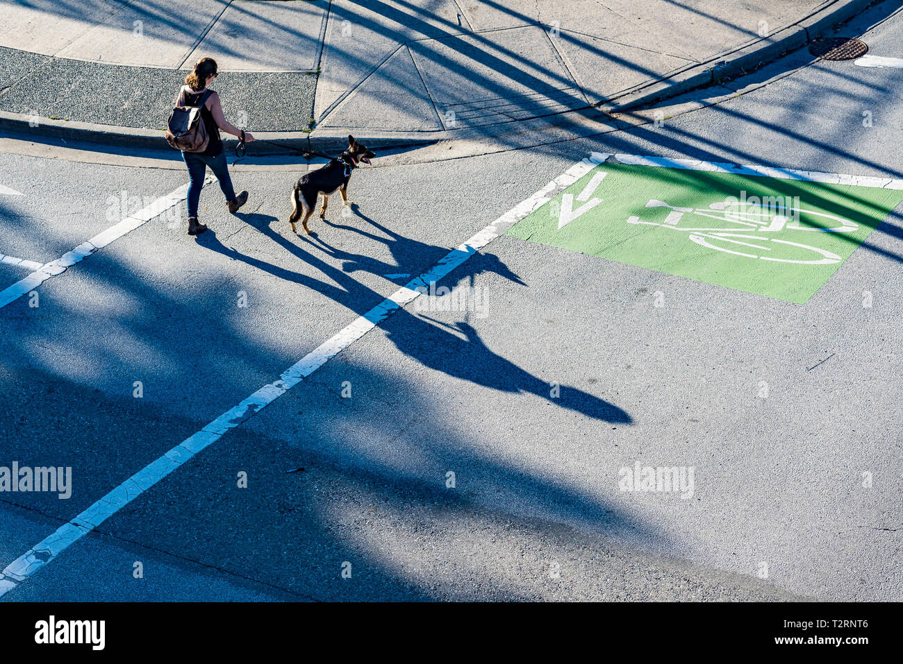 Shadow walking hi-res stock photography and images - Alamy