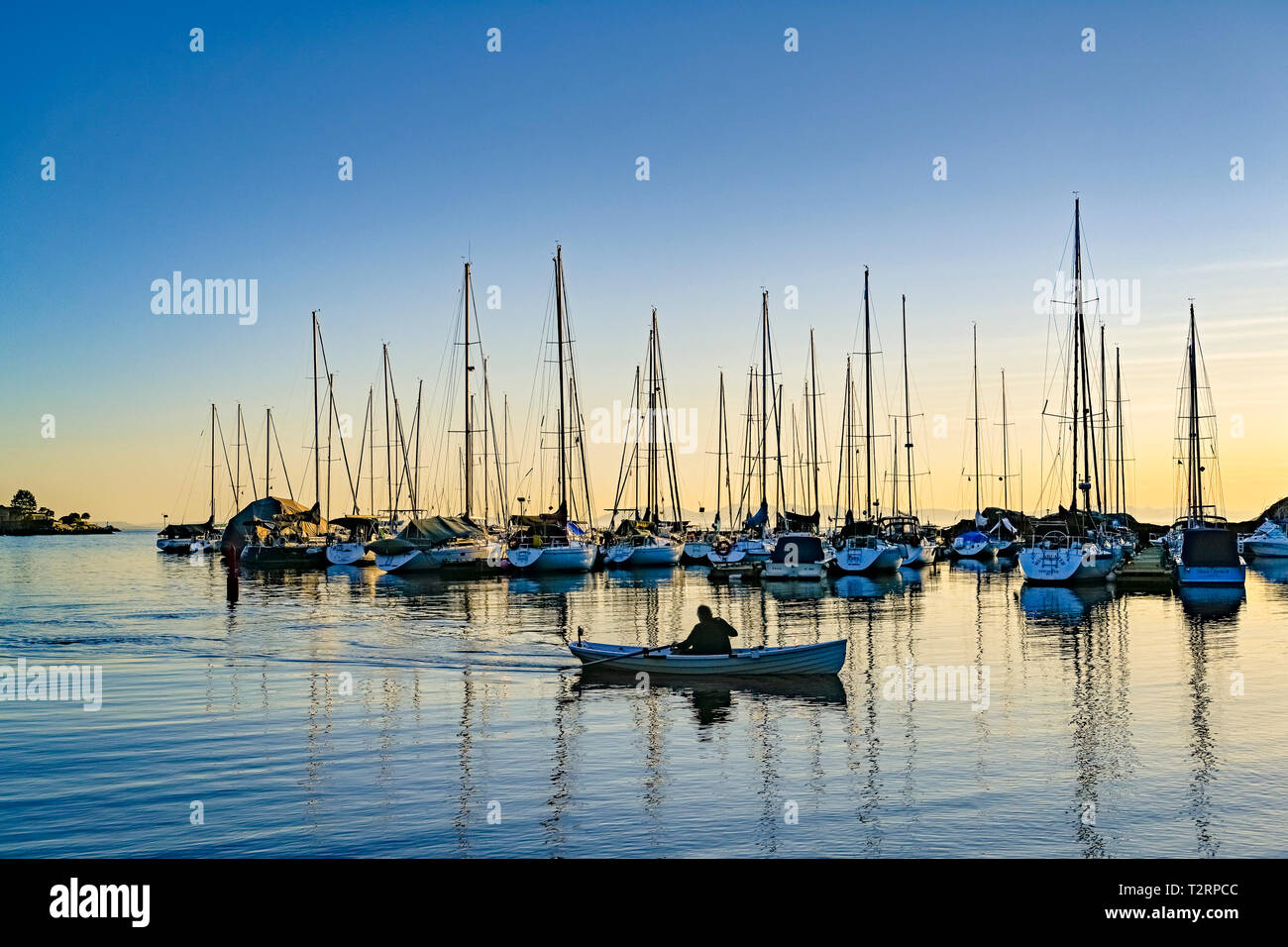 Man in rowboat hi-res stock photography and images - Alamy