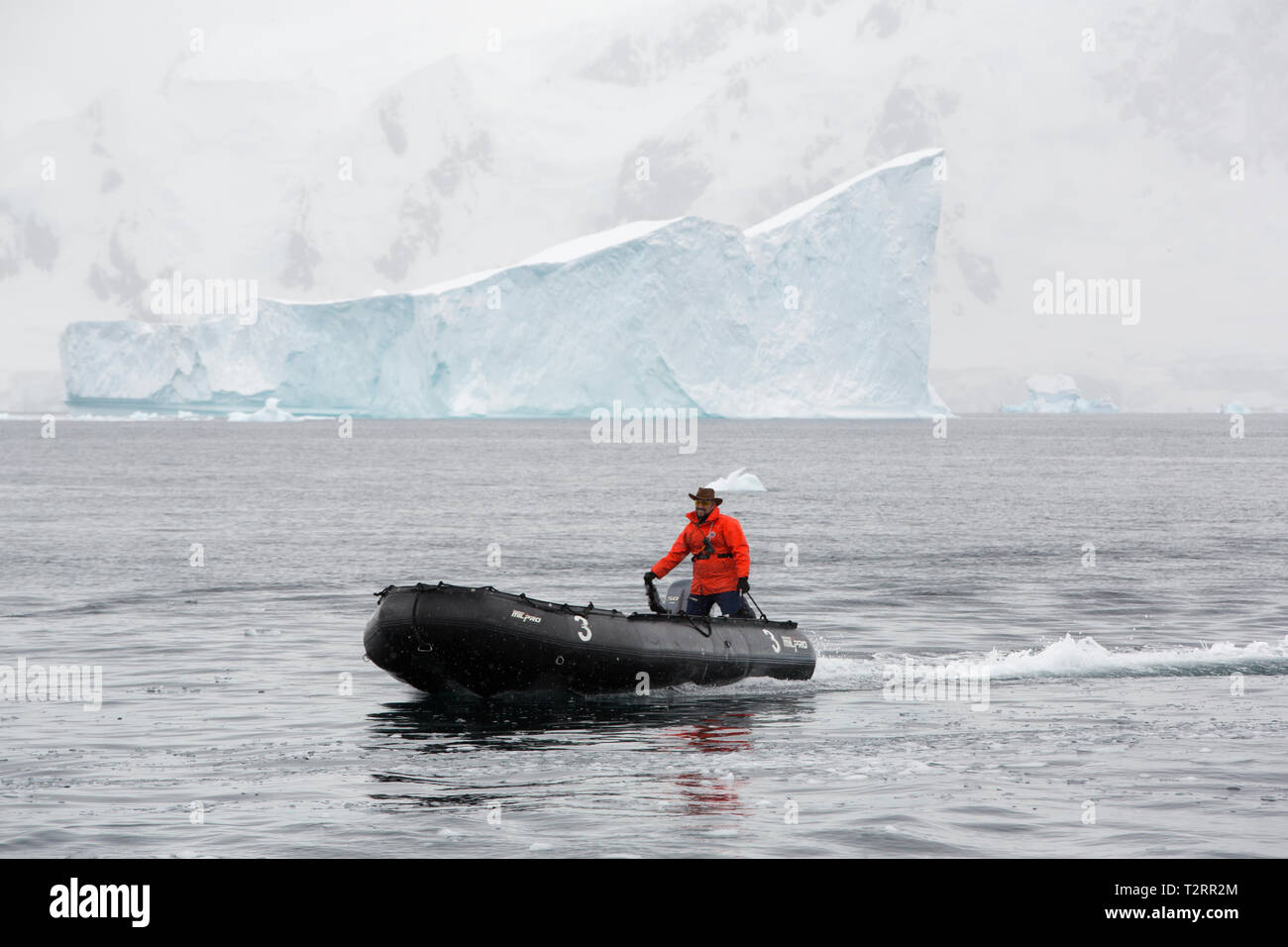 Zodiac driver 60 photos - Astrologytoyou.com