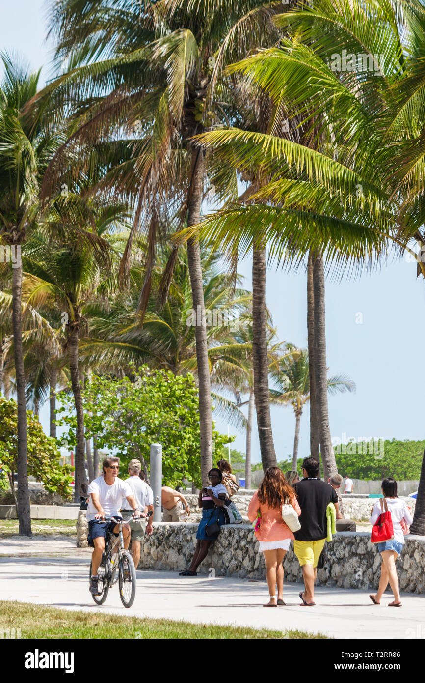 Miami Beach Florida,Lummus Park,Serpentine Trail,coral rock wall ...