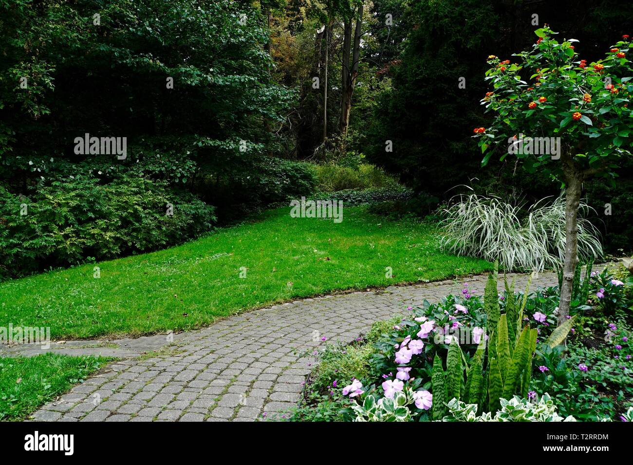a close look at a bricks pathway leading to the park Stock Photo - Alamy