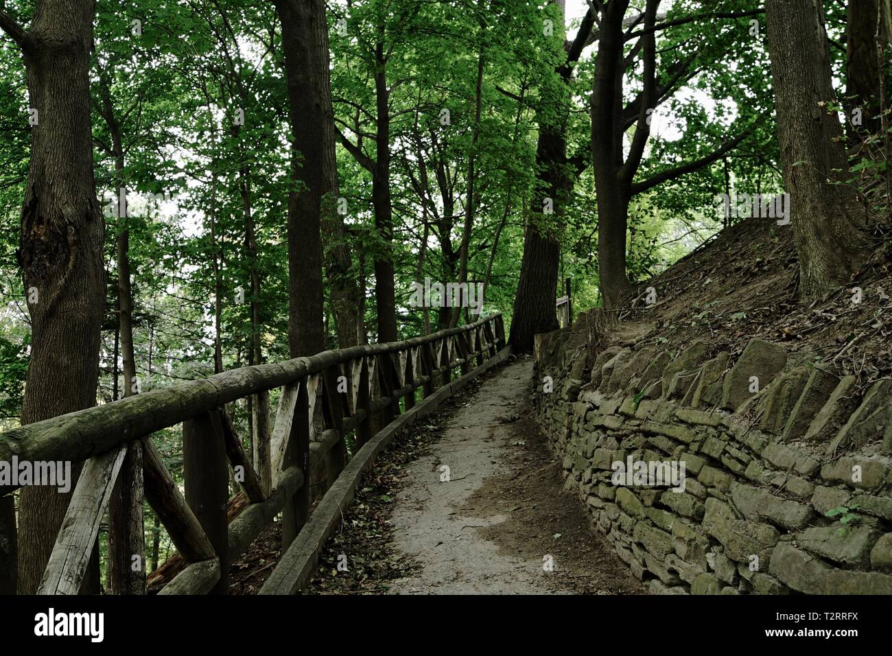 Wood trail hi-res stock photography and images - Alamy