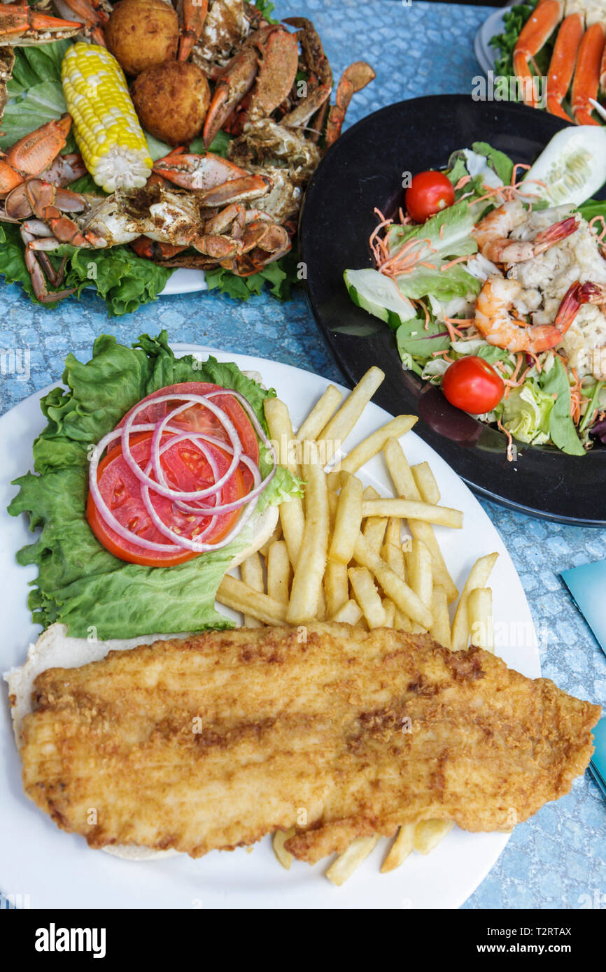 Florida plates hi-res stock photography and images - Alamy