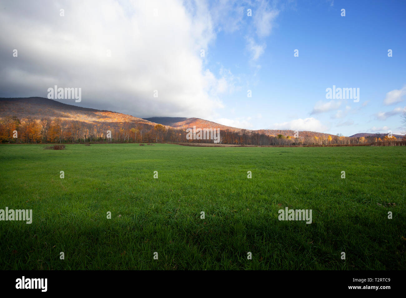 Berkshire mountains usa hi-res stock photography and images - Alamy