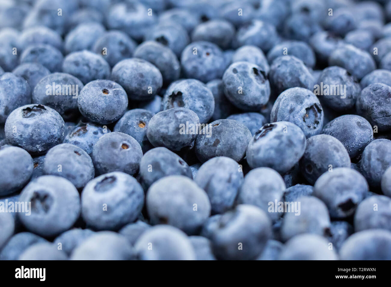 Ripe blueberries fruit macro close hi-res stock photography and images ...